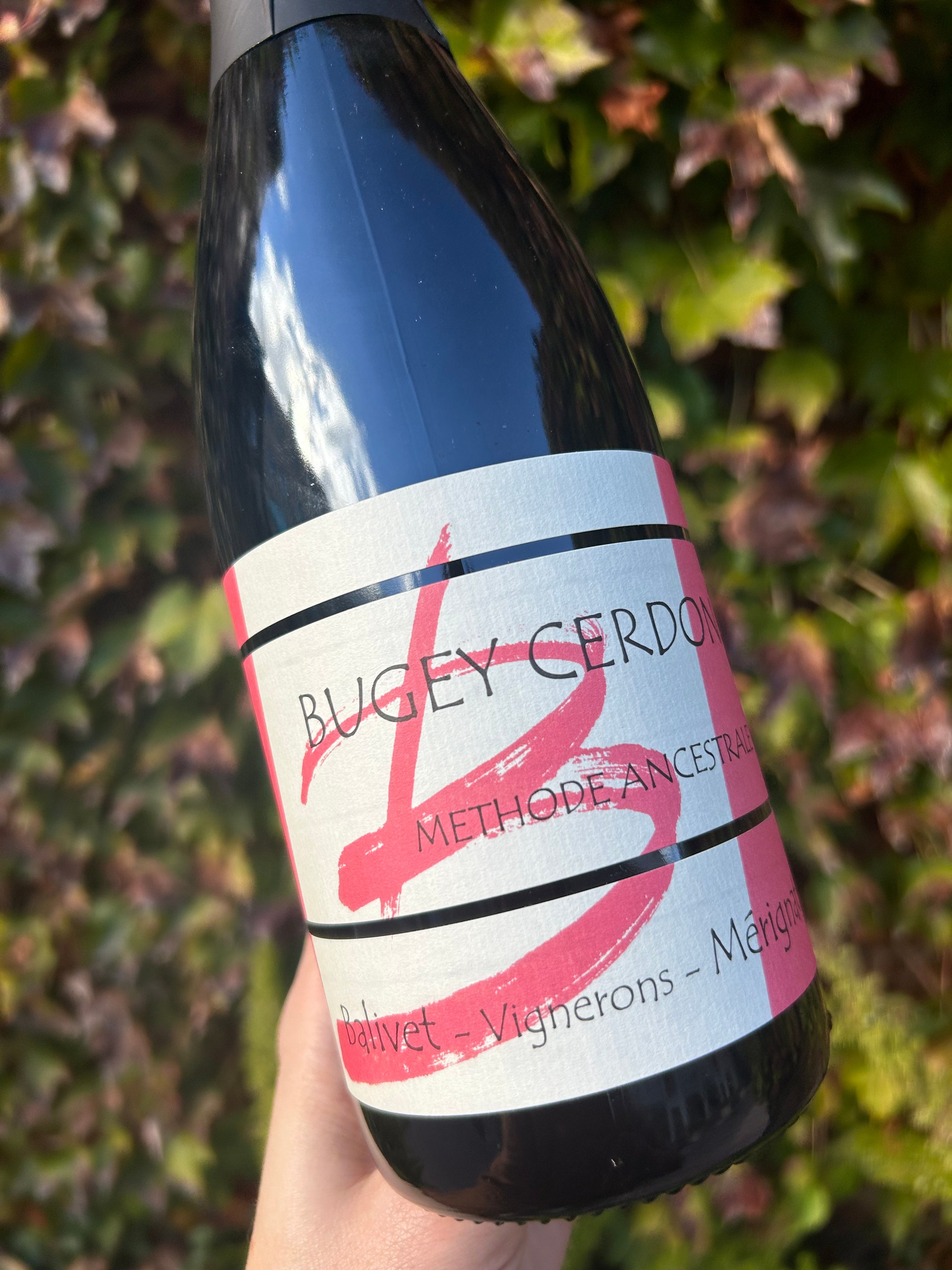 Philippe Balivet Bugey Cerdon Methode Ancestrale Rosé Sparkling Wine ...